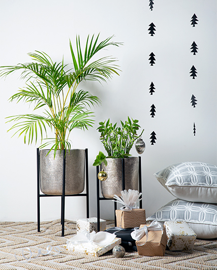 C L Gupta Export Ltd